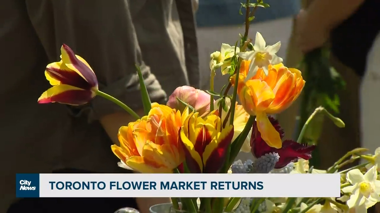 Toronto Flower Market returns