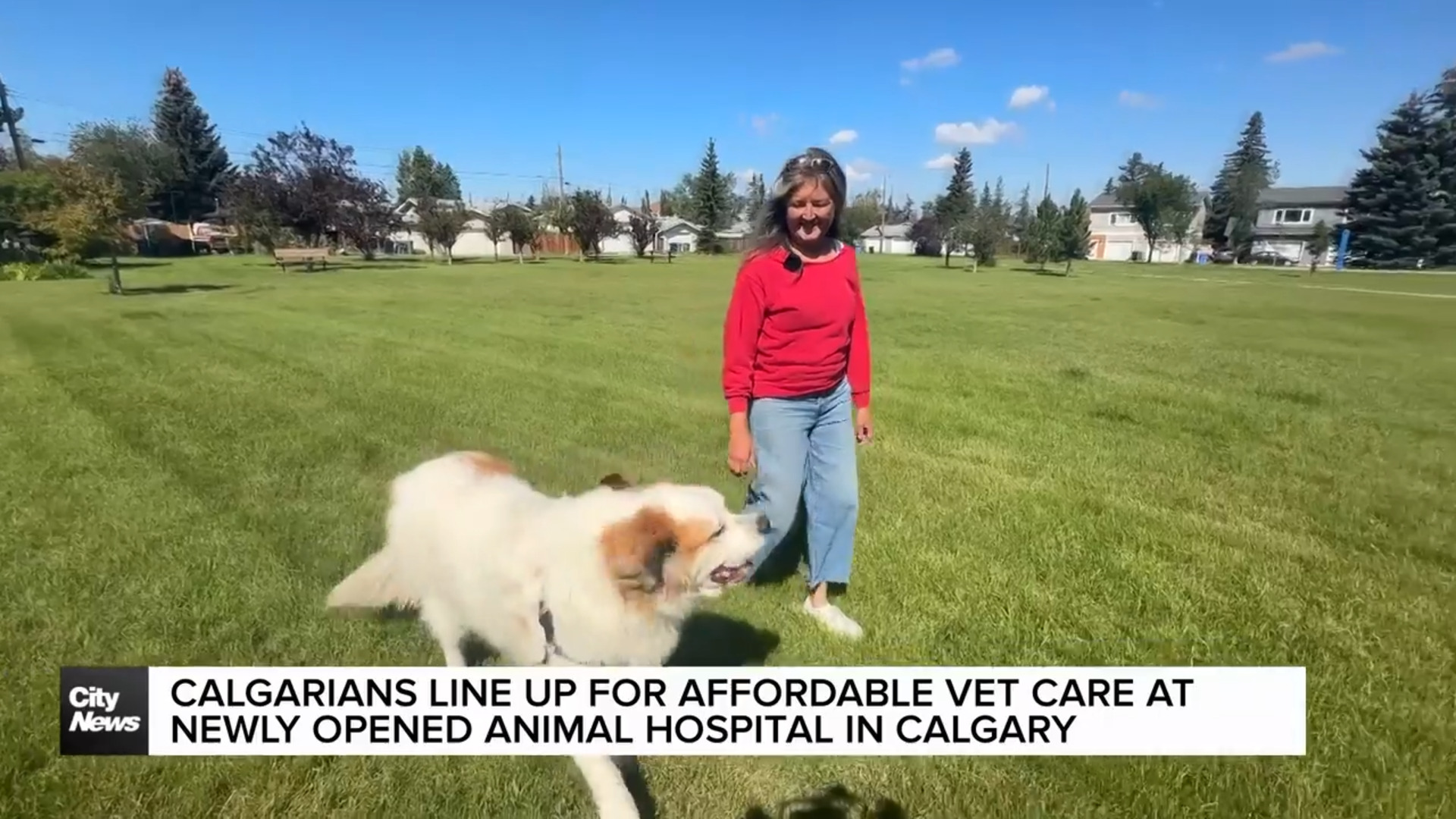 Calgarians line up for affordable vet care at newly opened animal ...