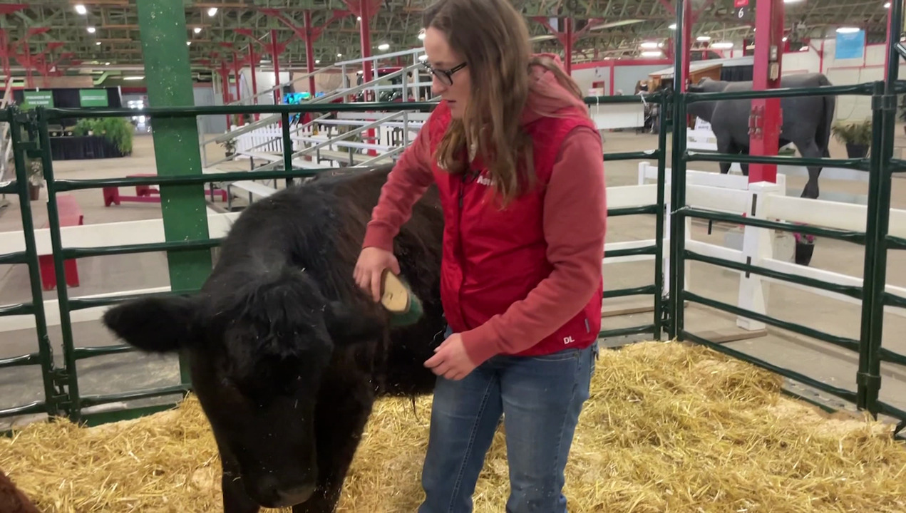 Aggie Days in Calgary, teaching kids about the agriculture industry ...