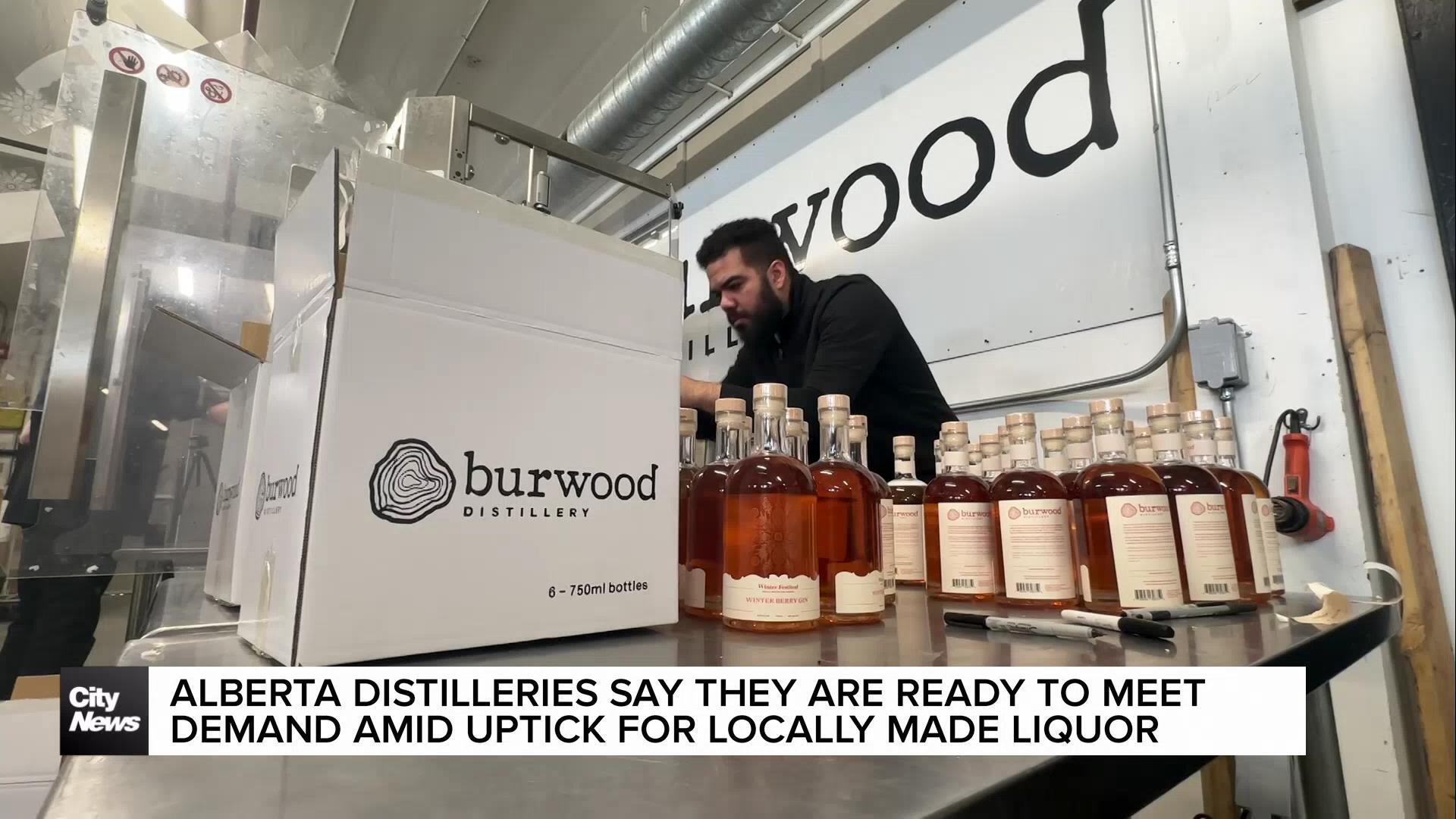 Calgary Wild FC kicks off pre-season prep ahead of inaugural Northern ...