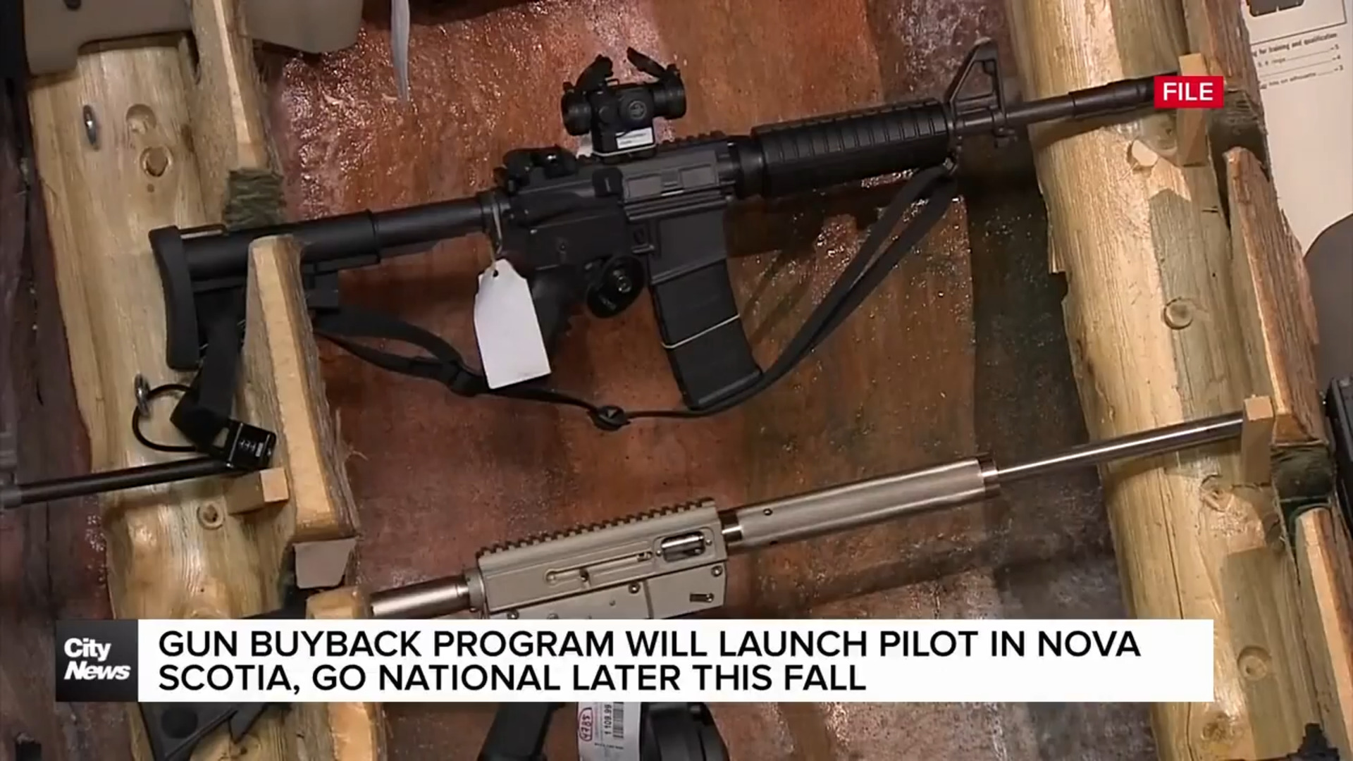 Assault weapons buyback moves ahead