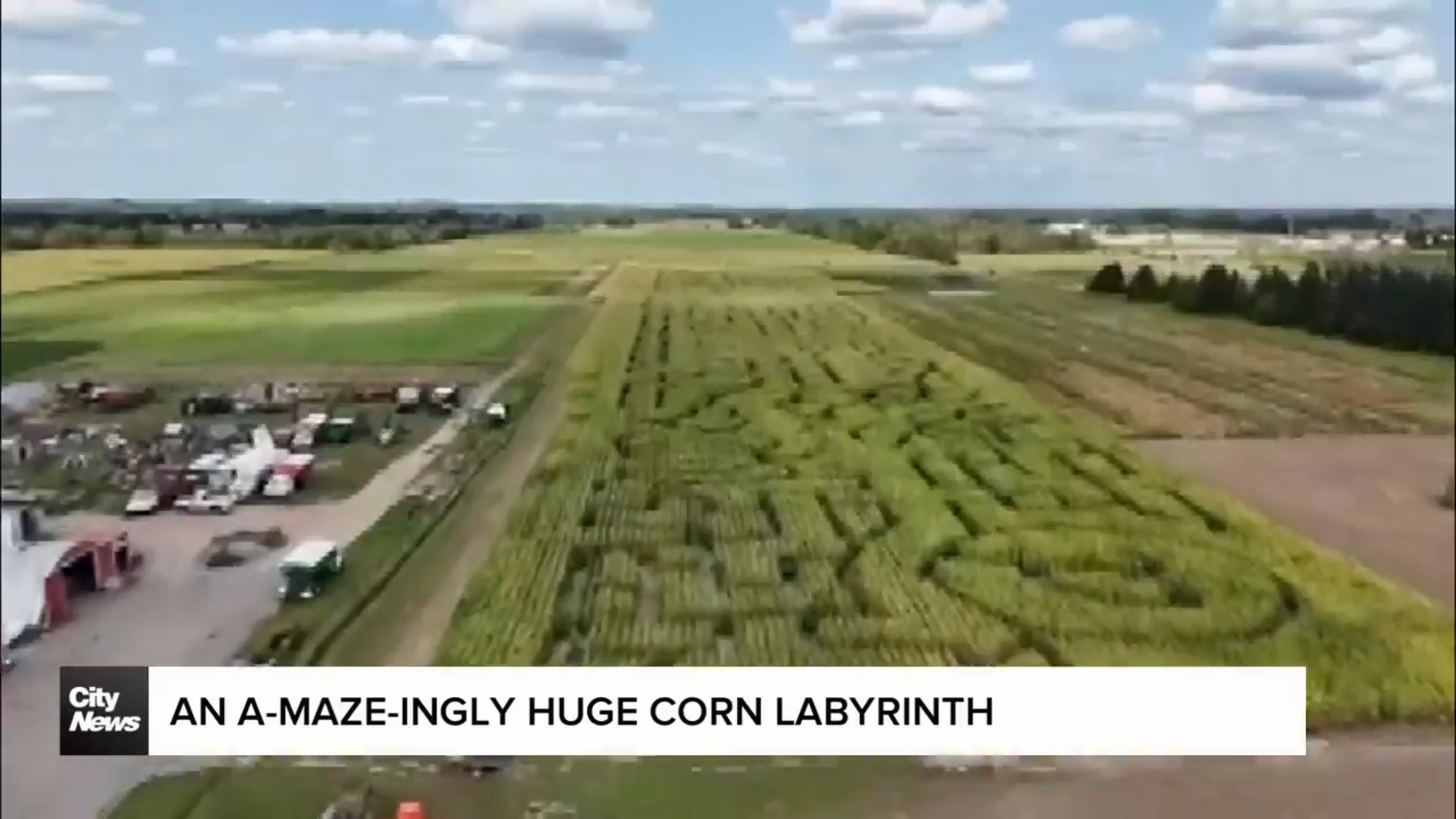 Try to escape one of Canada's largest corn mazes