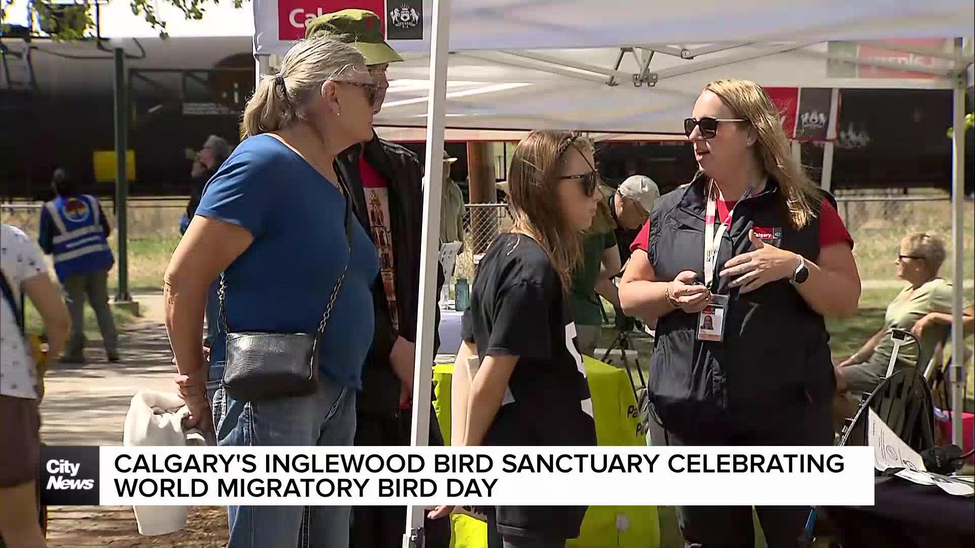 Calgary’s Inglewood Bird Sanctuary celebrating World Migratory Bird Day