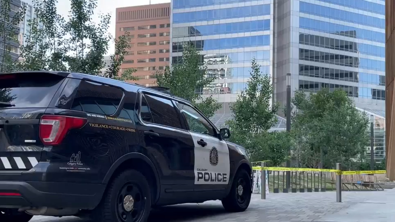 Calgary opens its doors to help Alberta wildfire evacuees | CityNews ...