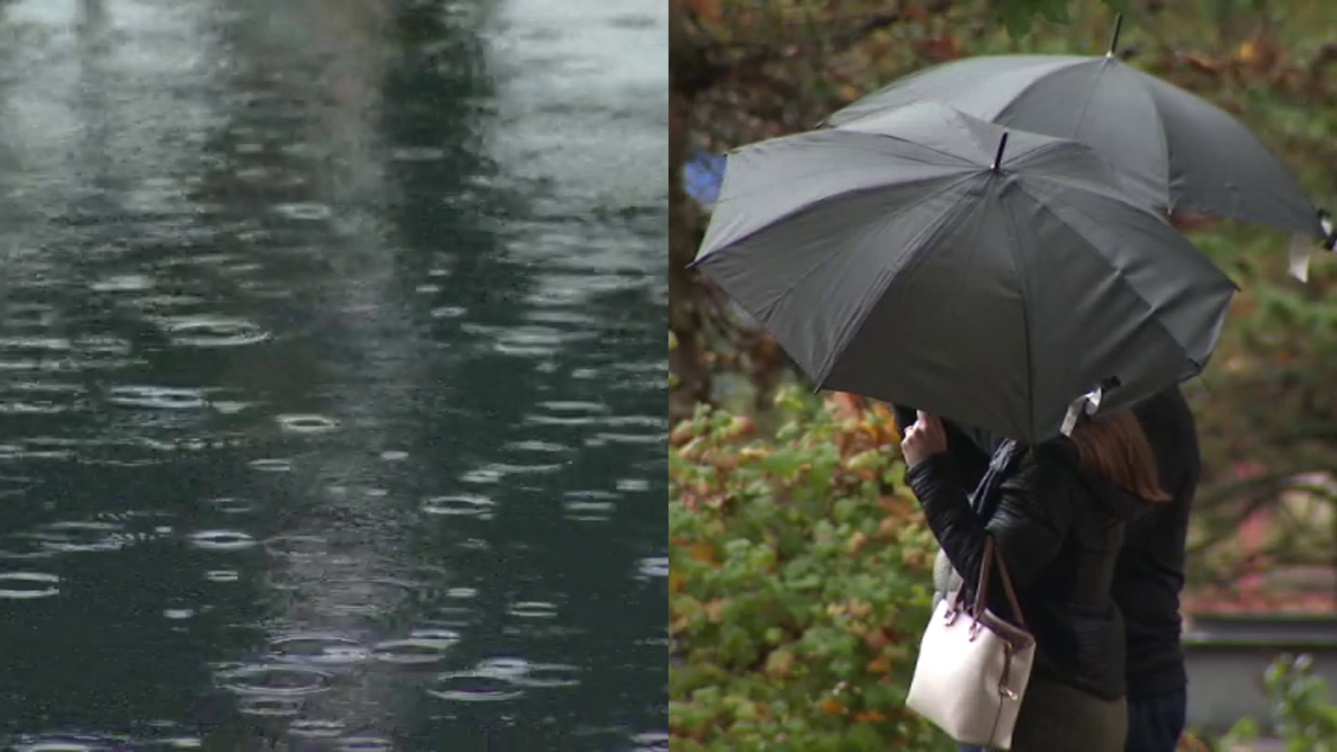 TransLink fares increase across Metro Vancouver starting July 1