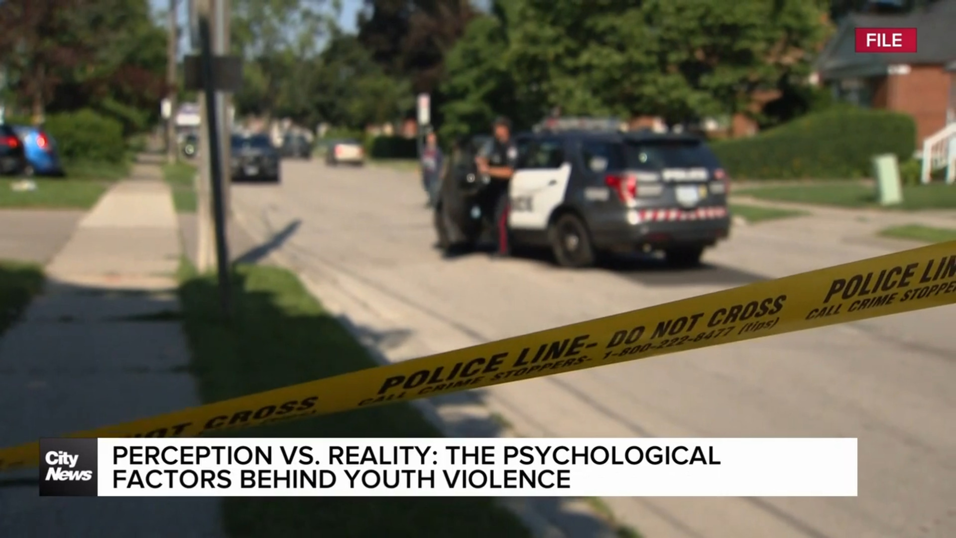 The psychology behind youth involvement in crime