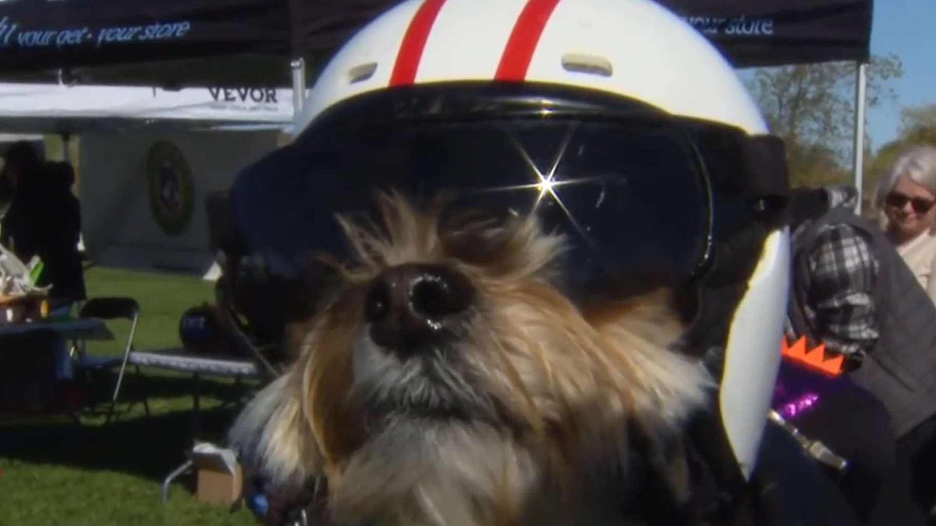 Jennifer Morin murder: Police in Quebec, Ontario make 13 arrests in ...