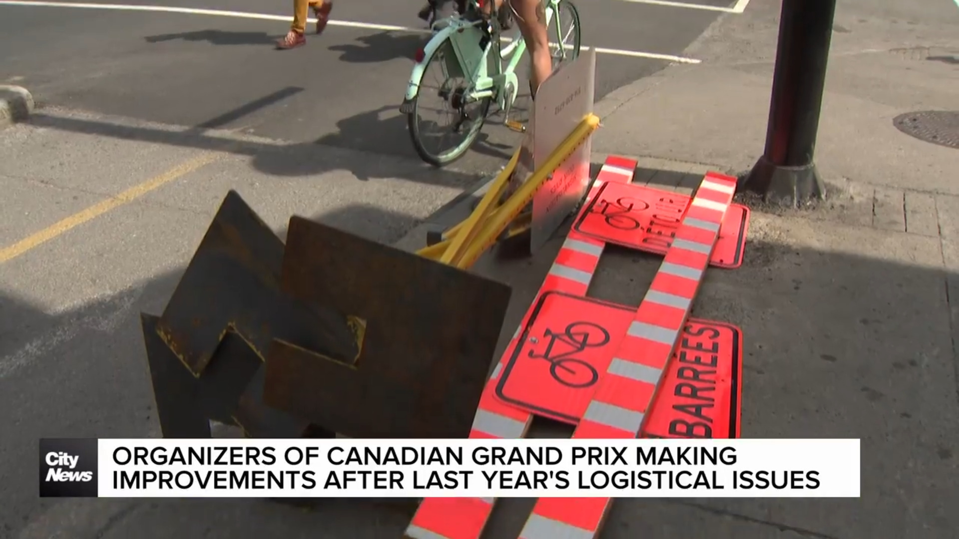 Ousted Liberal leadership candidate Ruby Dhalla loses appeal