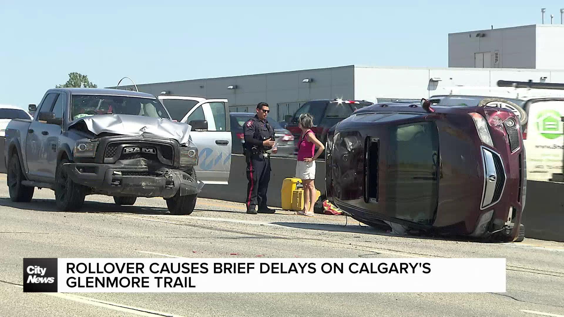 Massive grizzly bear 'The Boss' escorted out of Canmore