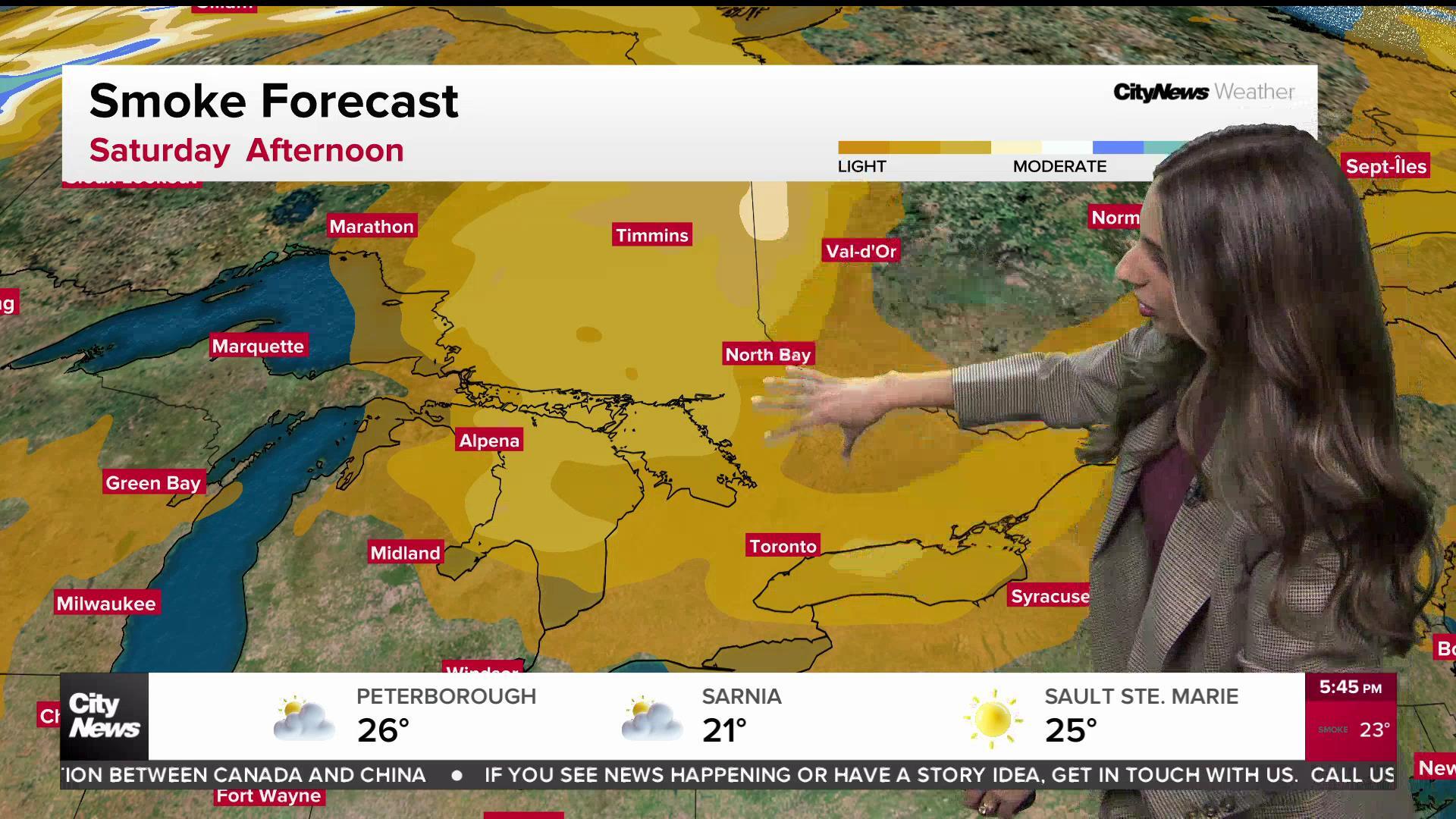 Protecting at-risk turtles and their nesting sites