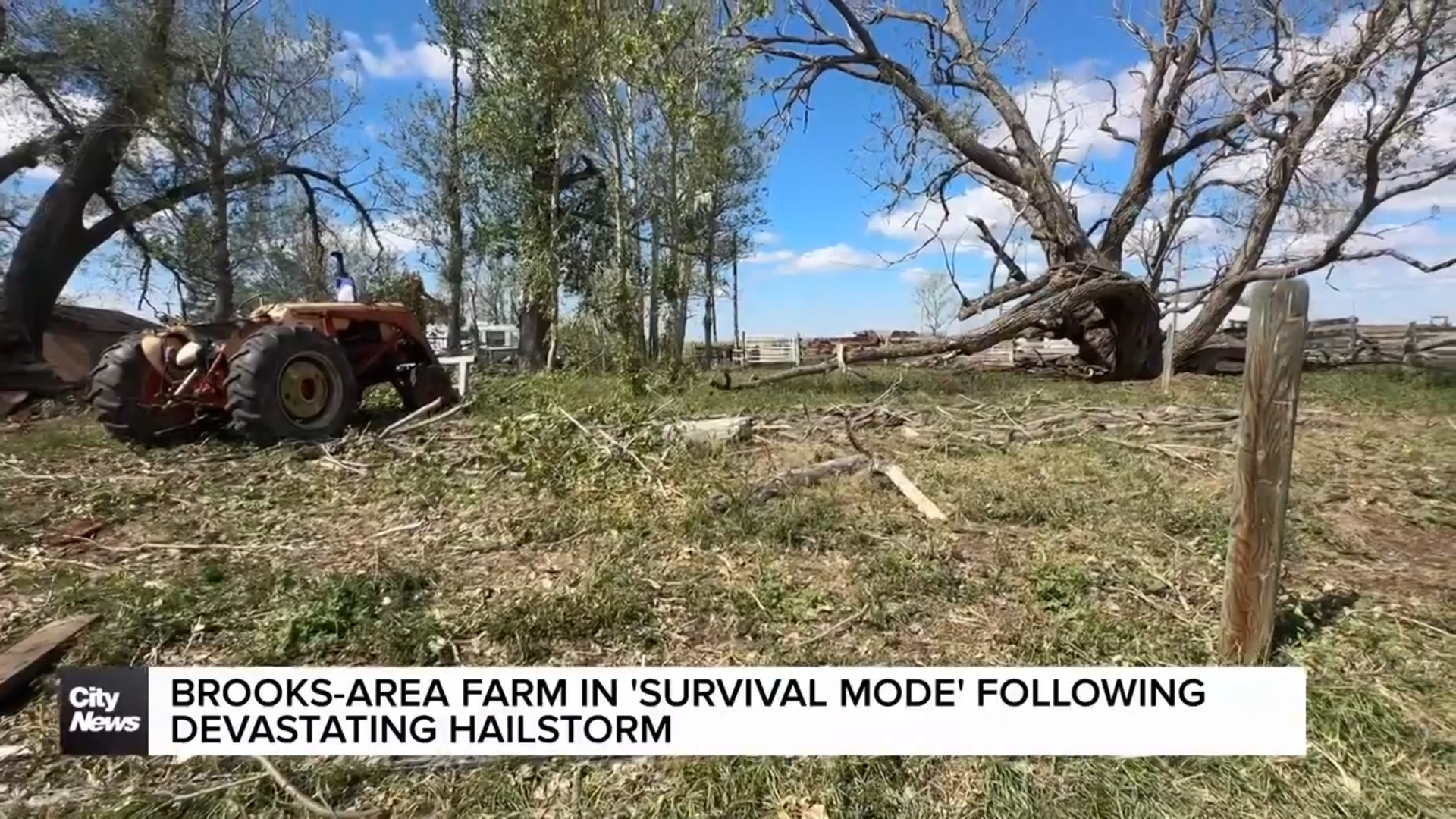 Calgary Police bomb unit responds to pair of incidents in city's southeast