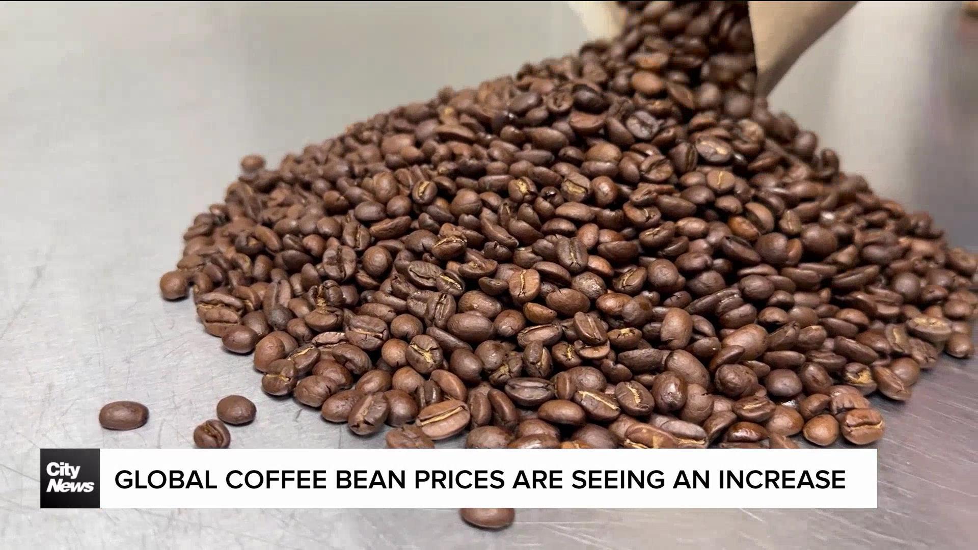 New Year’s Eve in Edmonton: what to do & where to watch the fireworks