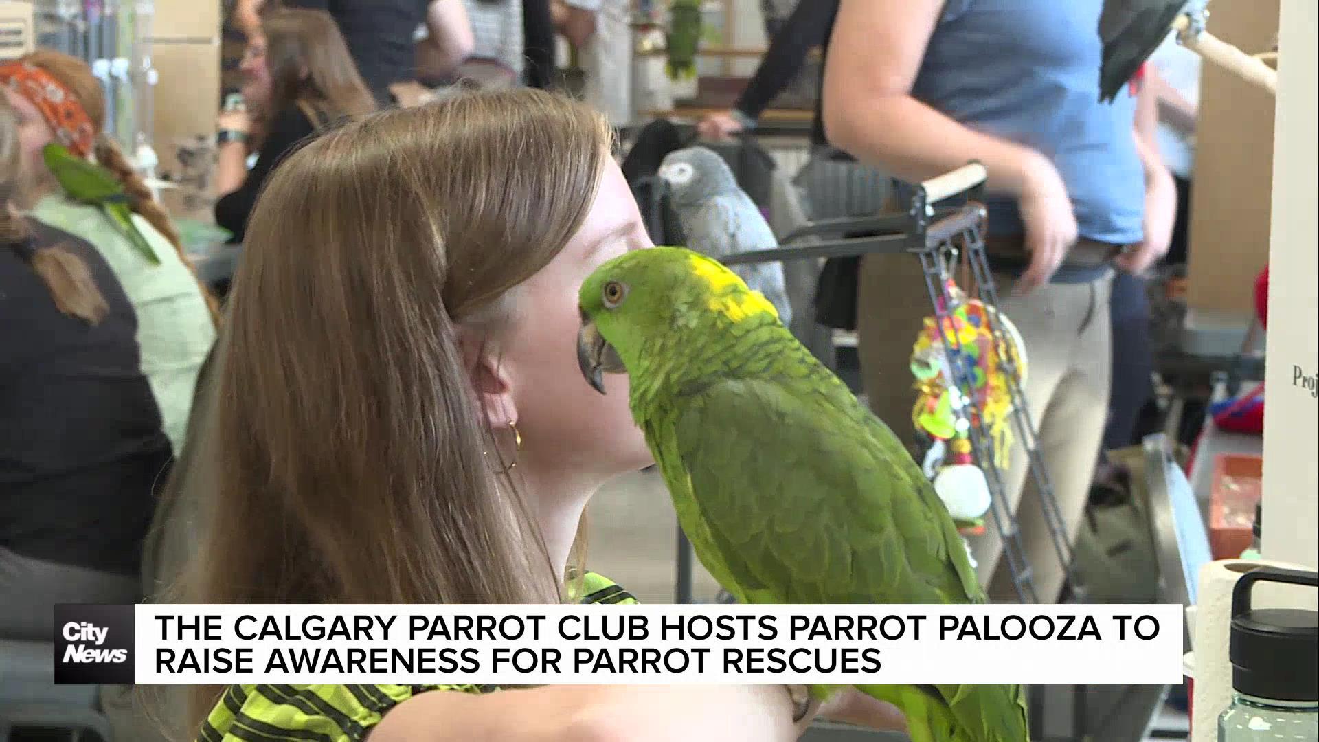 Calgary cop pulls over speeding vehicle, helps choking toddler