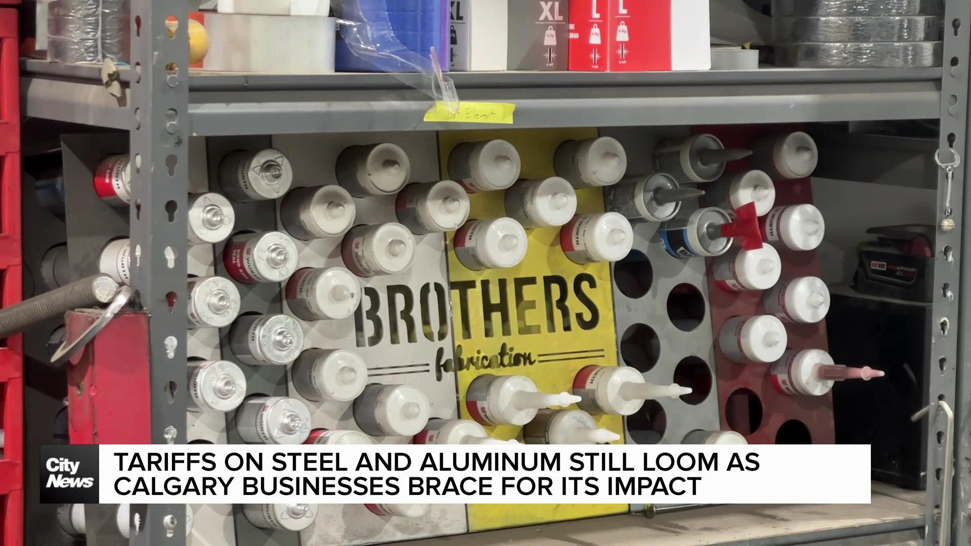 Experts working to clone Cochrane's Grandfather Tree