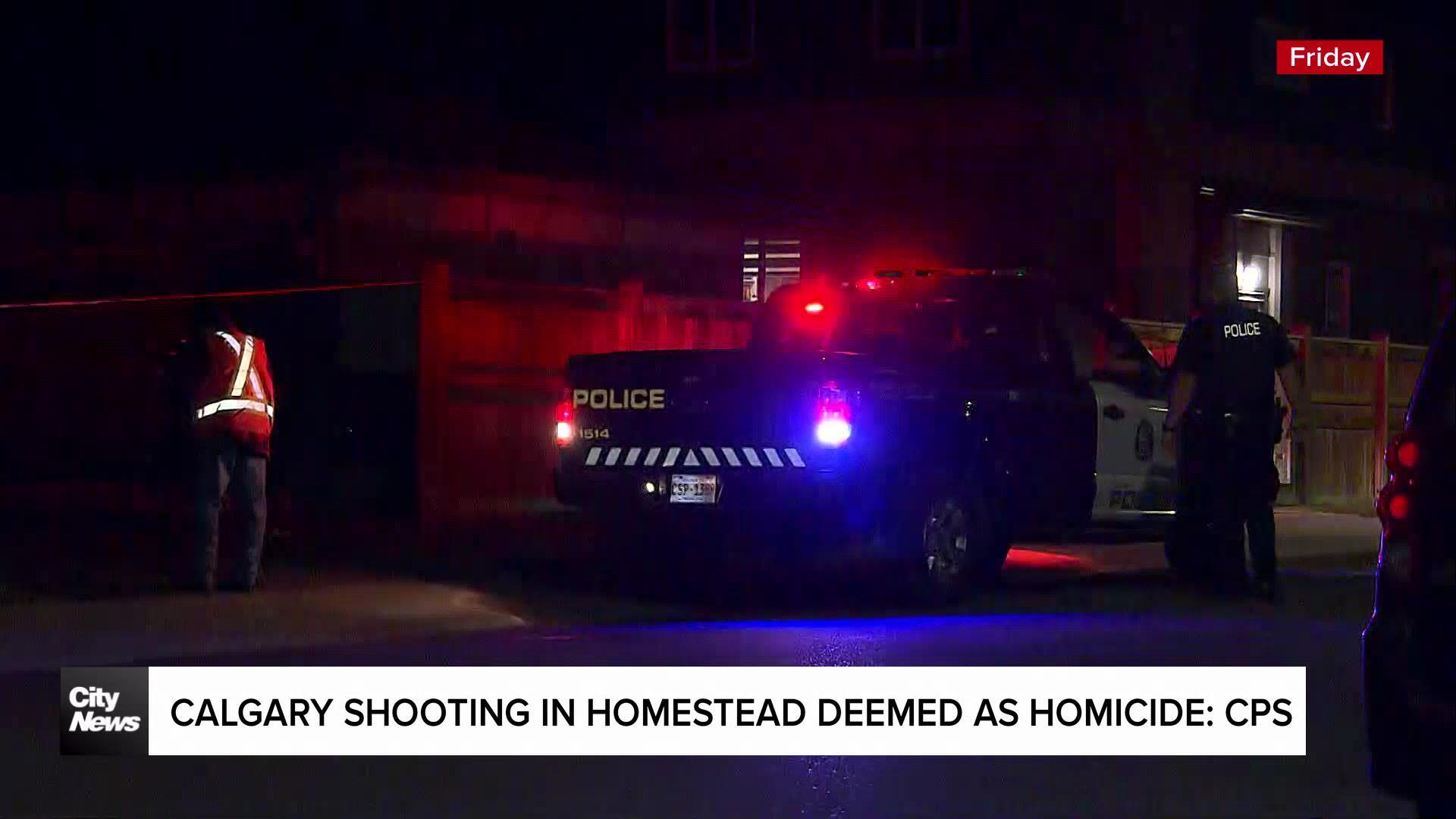 RCMP seize pen gun, drugs after man found passed out in vehicle