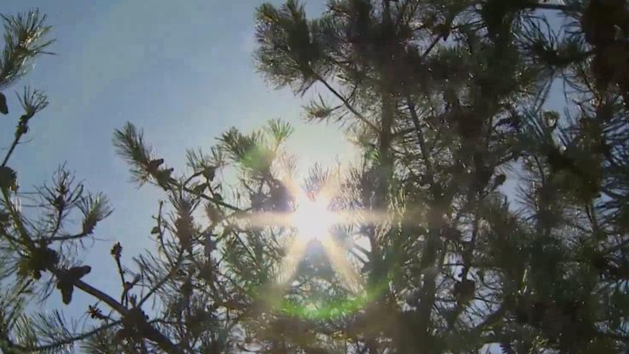 Edmonton heat wave triggers emergency response & water restrictions