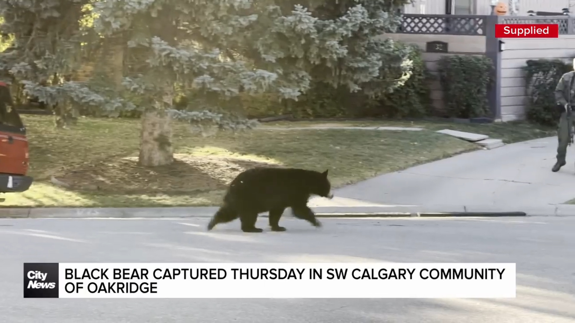 Former Trans Mountain CEO to head major projects office in Calgary