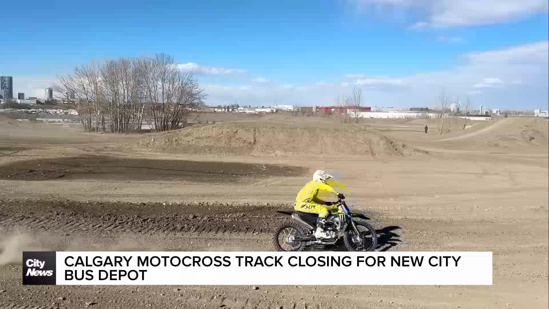 Breaking News | Top Local Stories | CityNews Calgary