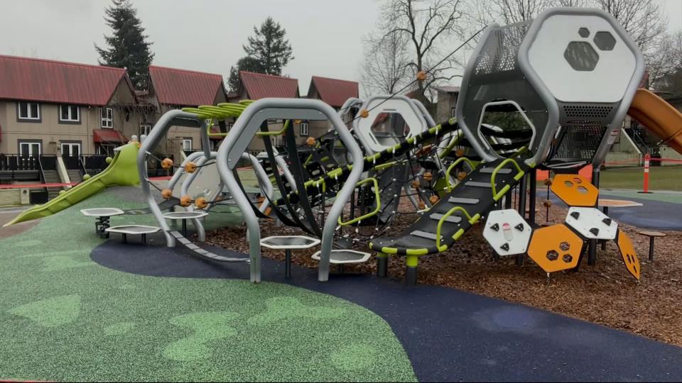 Some Vancouver playgrounds inaccessible for kids with disability needs