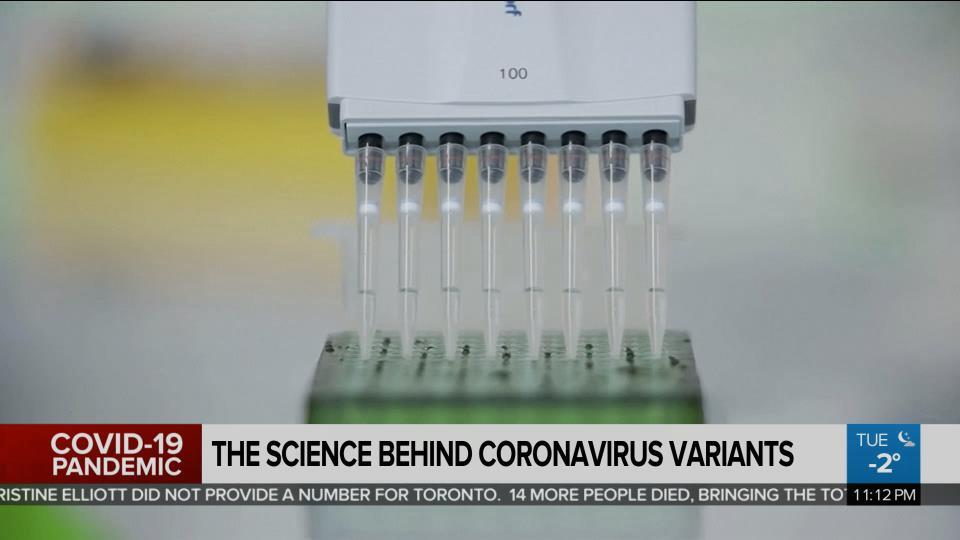 The science behind the COVID-19 variants