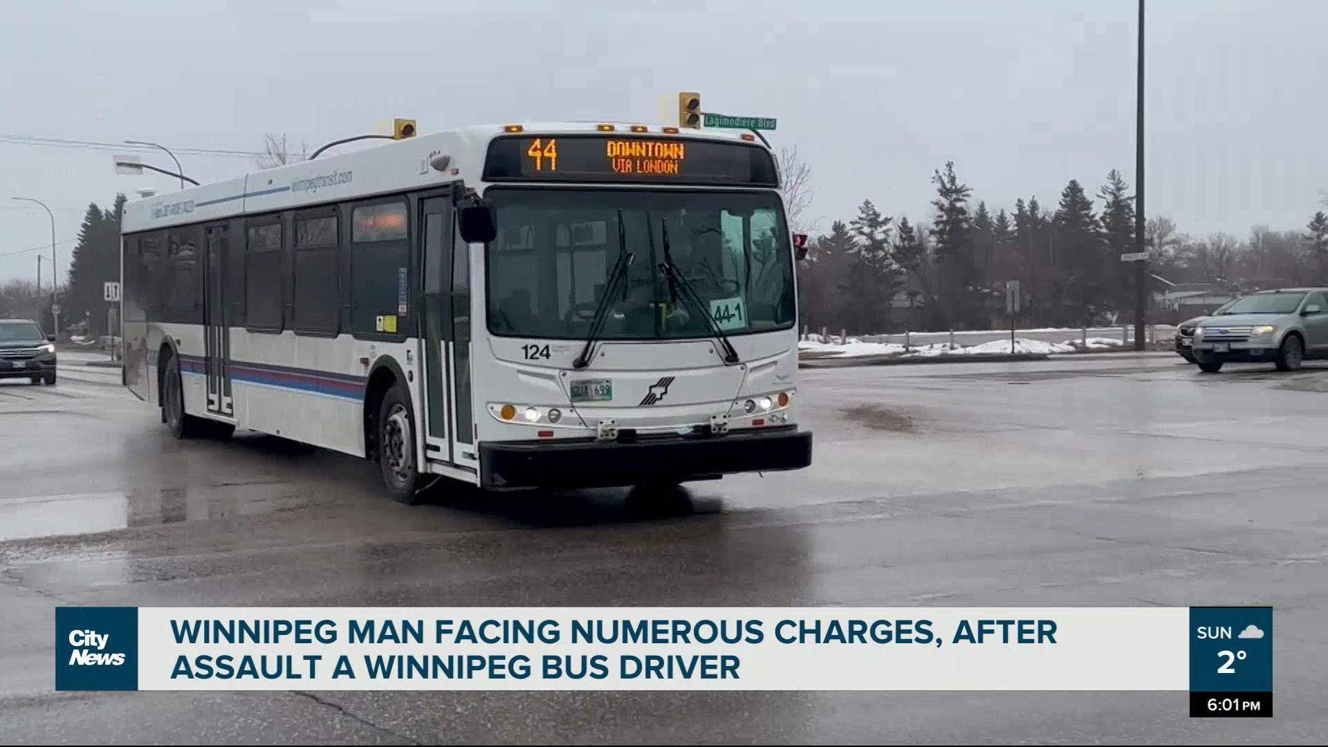 Families fundraising with Halloween houses