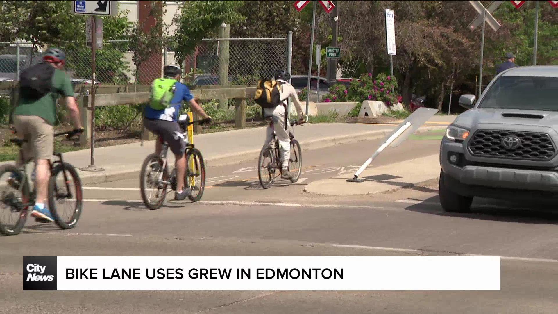 CUPE Alberta elects new union president