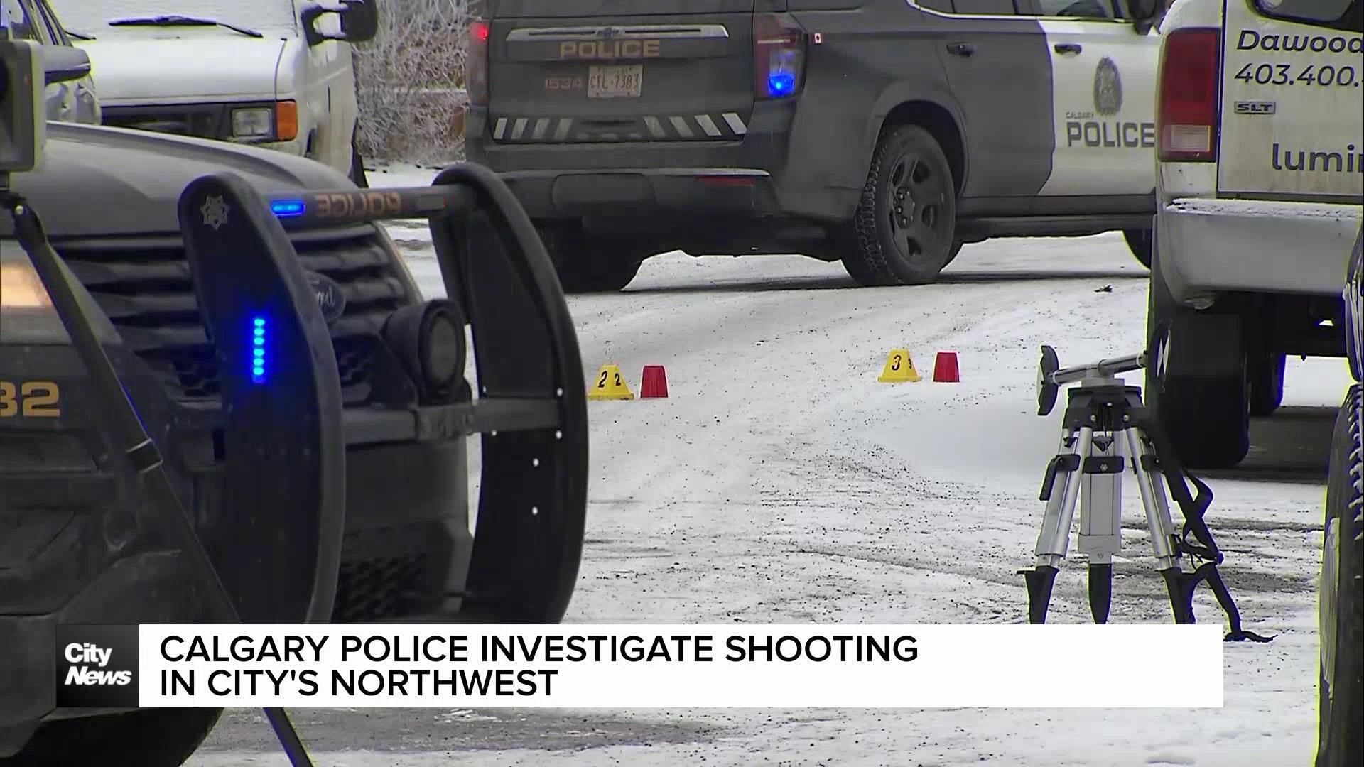 Billboard promoting Alberta to join USA pops up north of Calgary