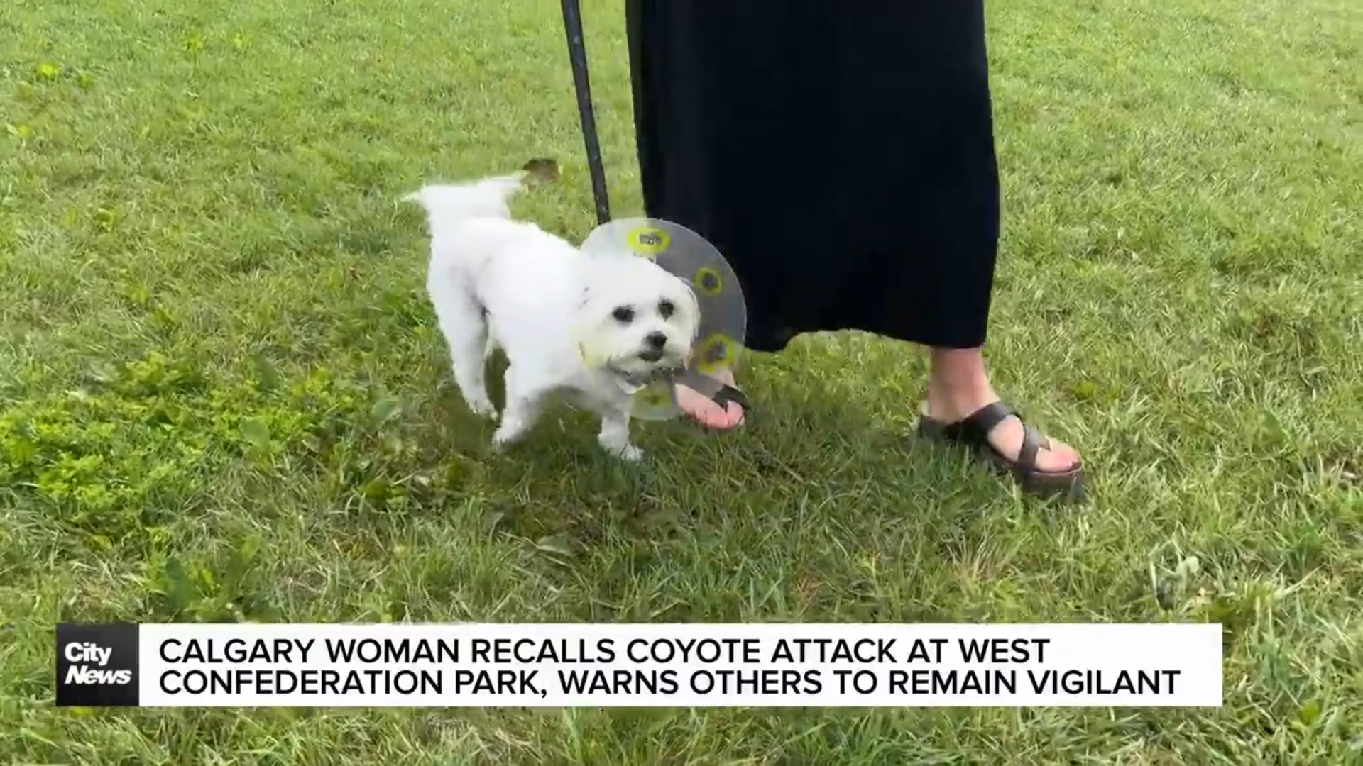 Police seek witnesses in downtown Calgary shooting