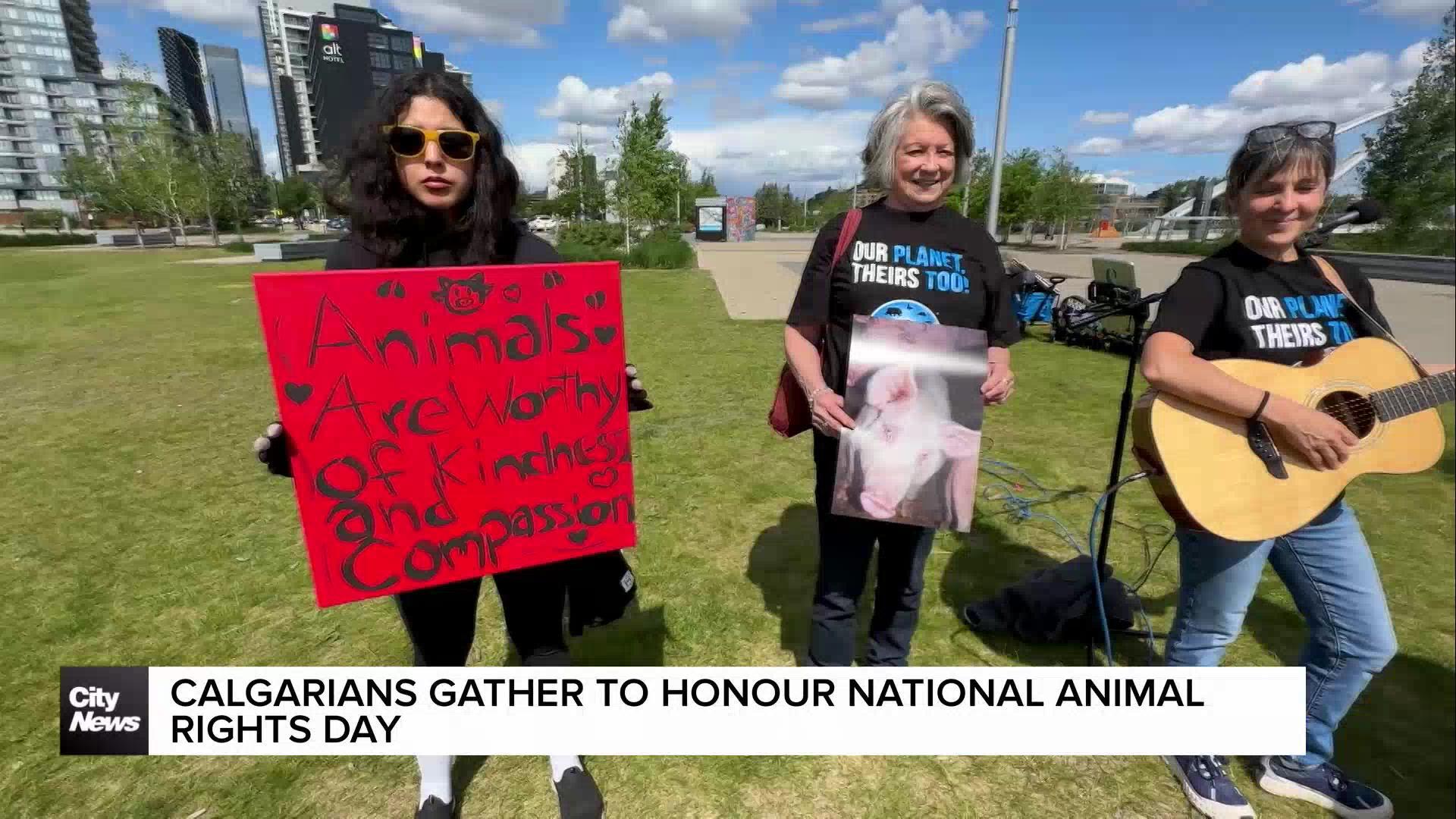 Two charged in violent attack on Calgary Transit bus driver: CPS