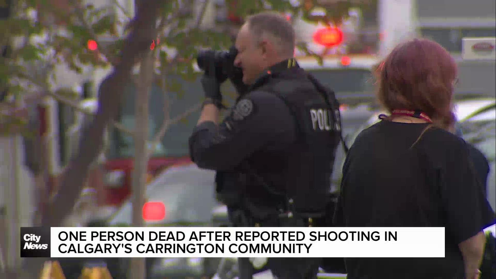 Timeline of how police tracked down a Calgary serial killer