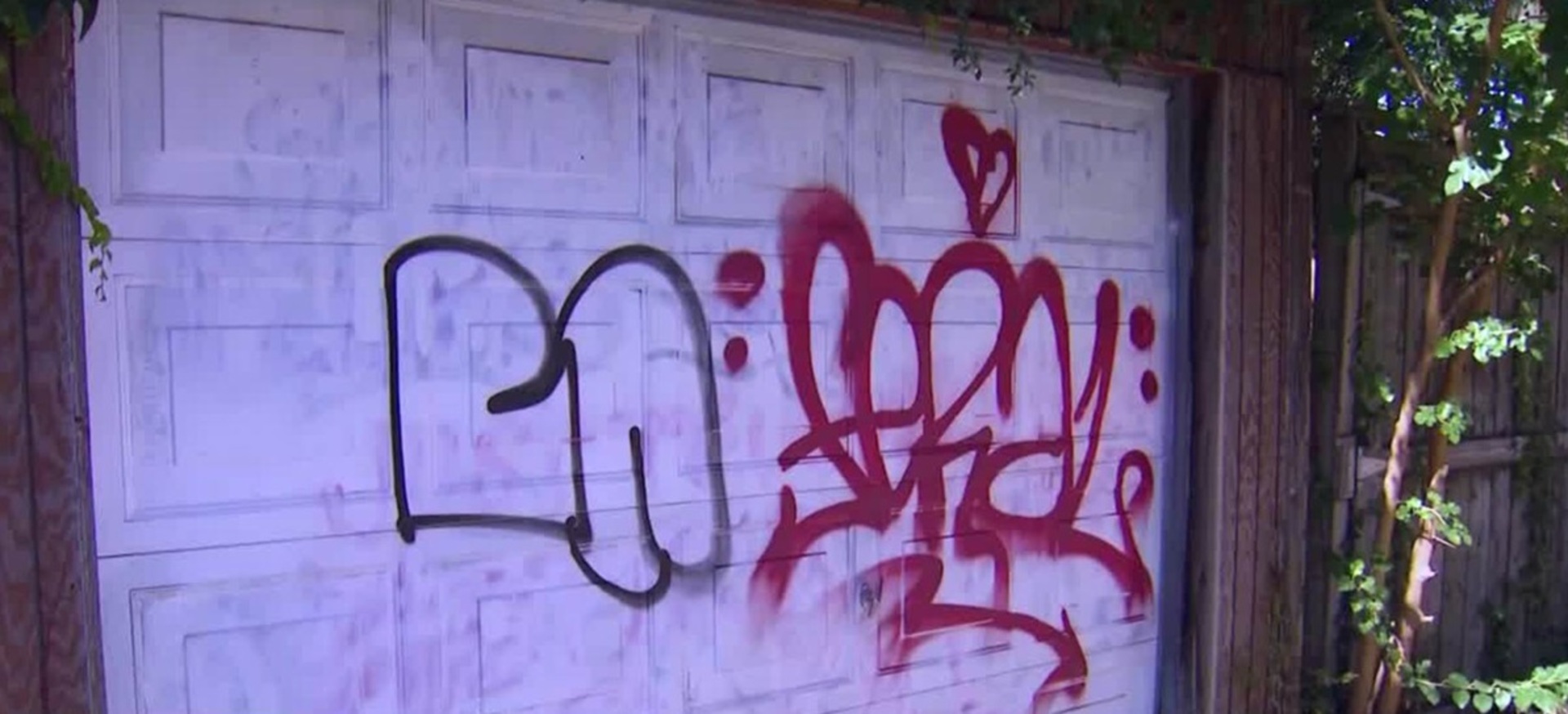 'It's getting out of control': Business and home owners say the ...
