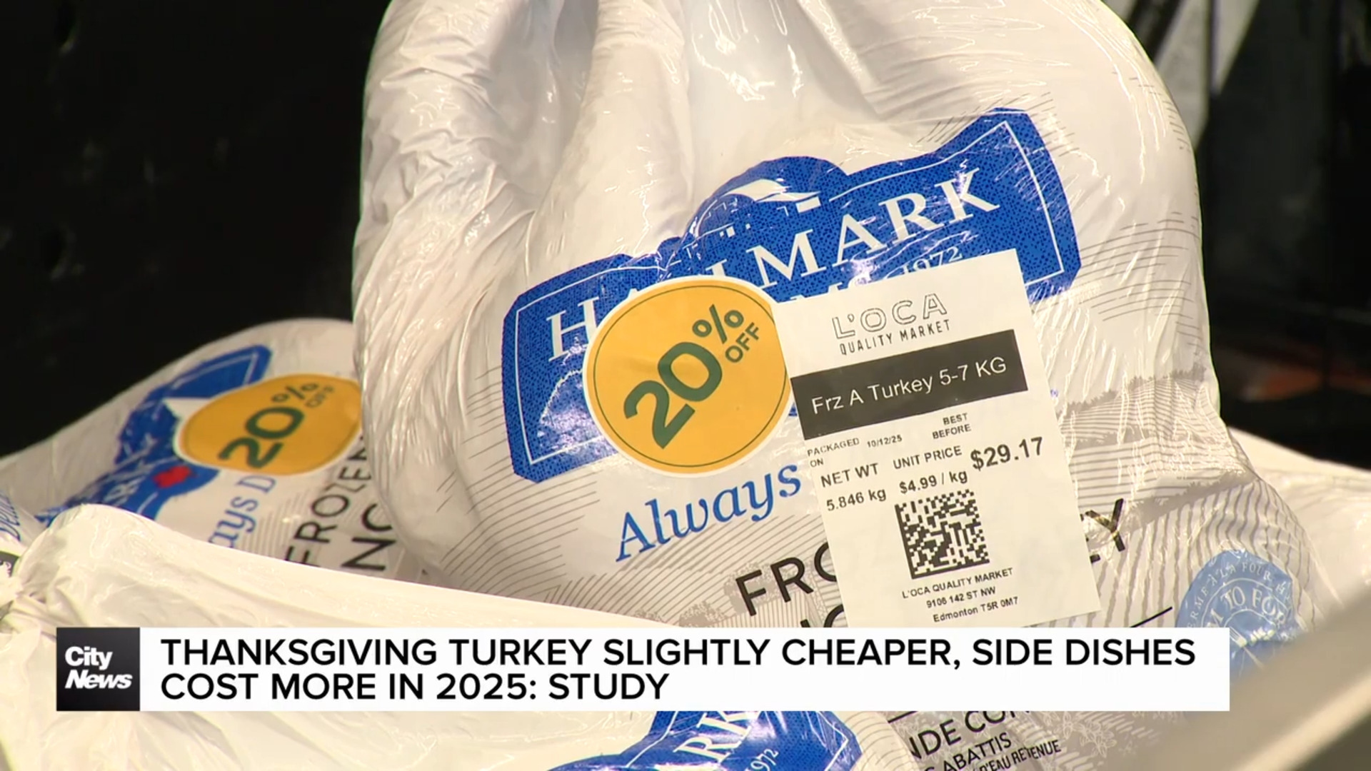 Dog obtains Alberta defensive driving certificate, Provincial ...