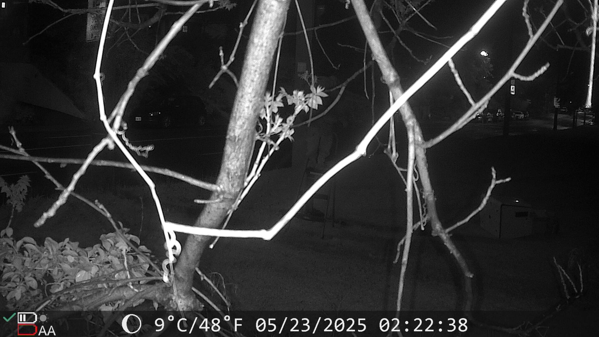 New video captures Parkside Drive speed camera being cut down