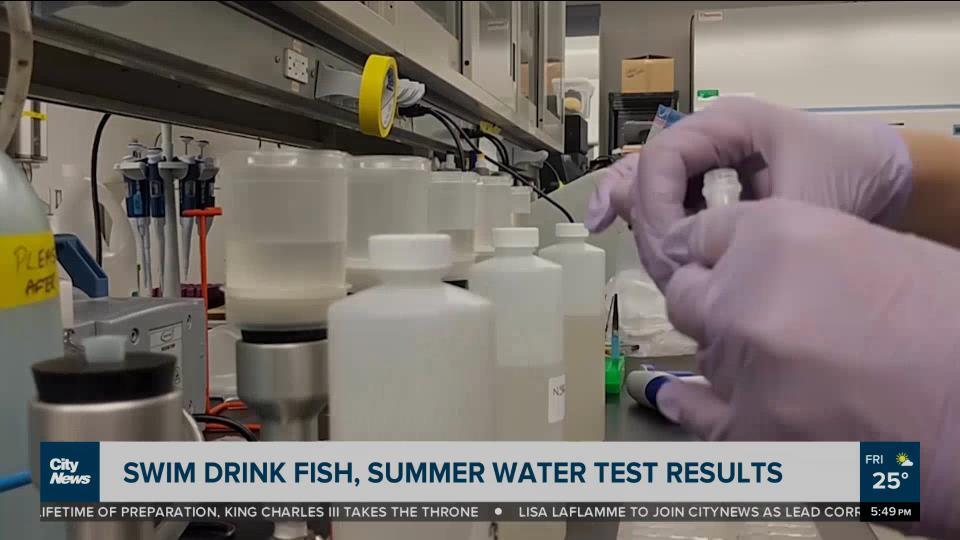 A 'decent year' for Toronto water quality | CityNews Toronto