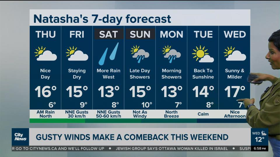 Students describe confusion, terror during California school shooting ...