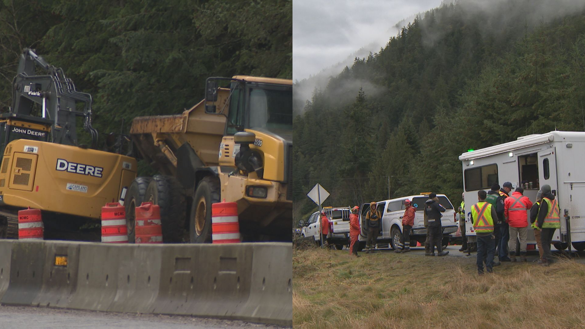 Woman killed by falling tree during wind storm: Surrey police