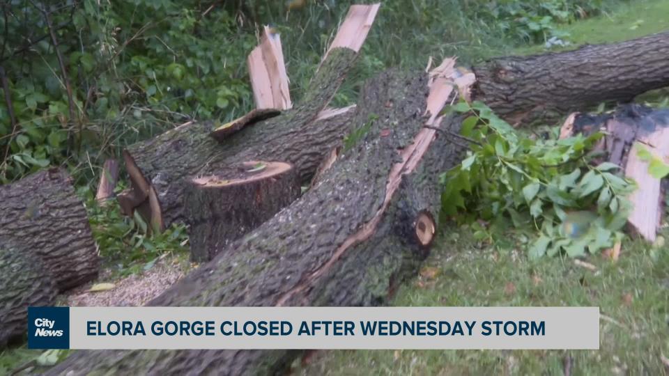 Large cleanup underway after storm hits Elora