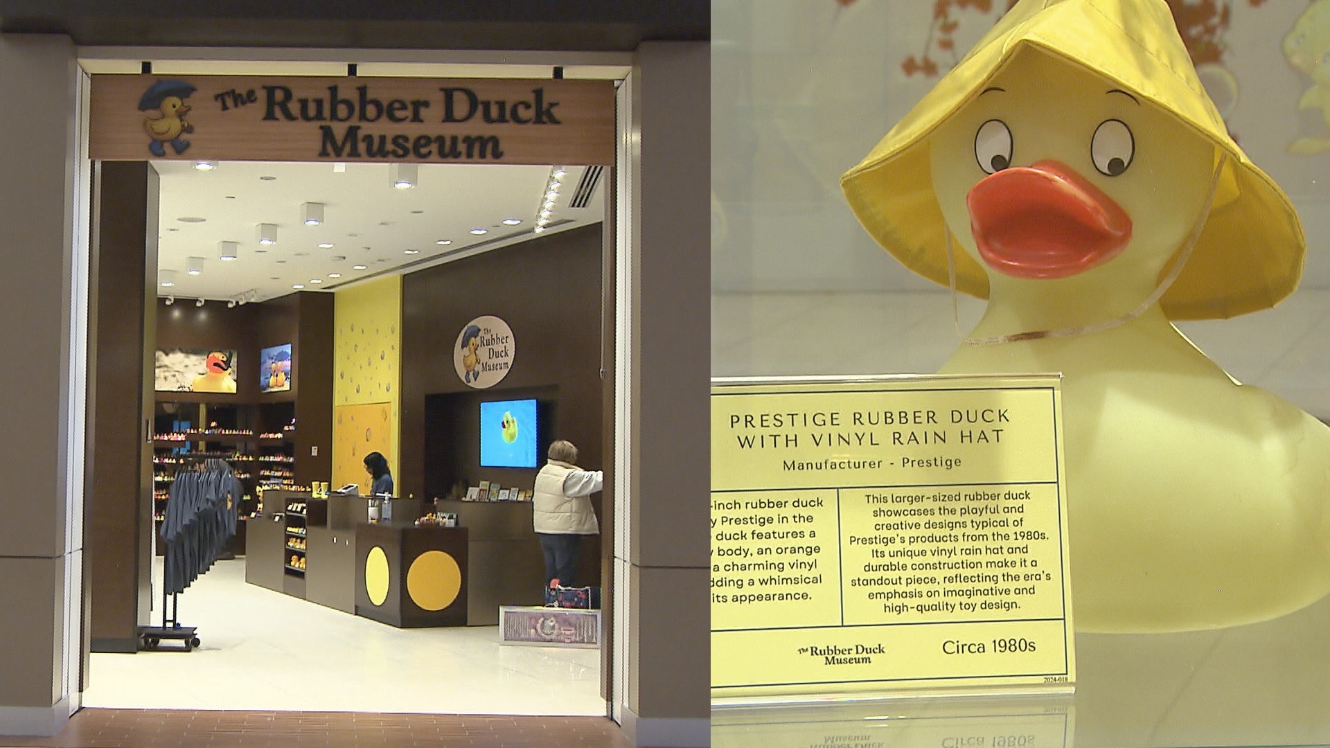 Rubber duck museum waddles across U.S.-B.C. border