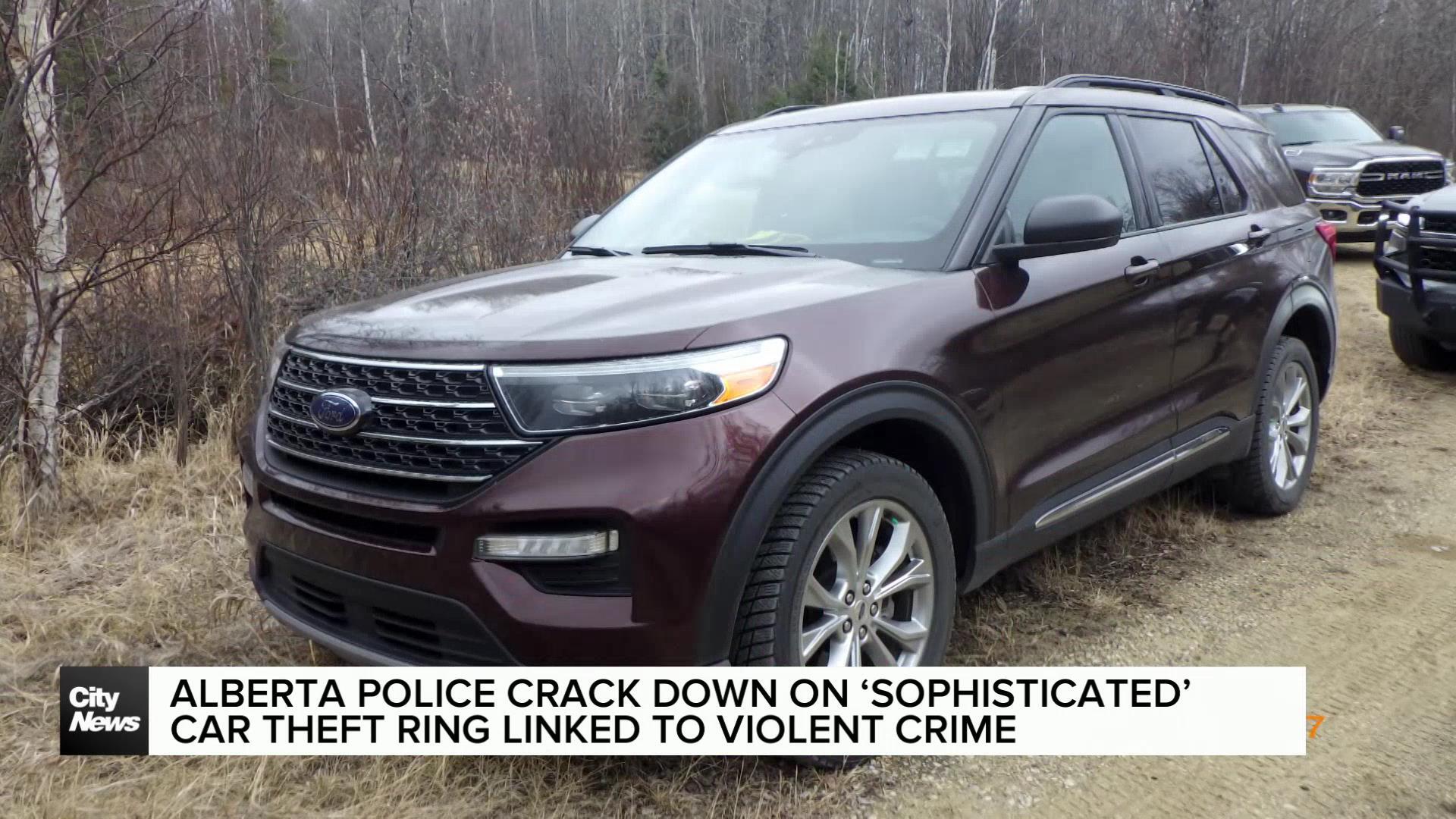 11-year-old boy killed by dogs identified as B.C. resident