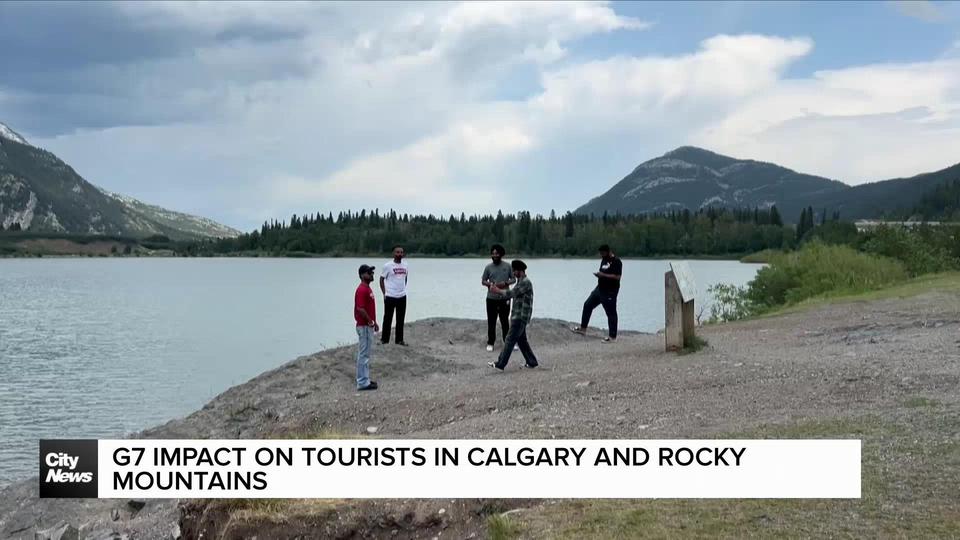 Calgary considering funding for better safety shields following assault ...