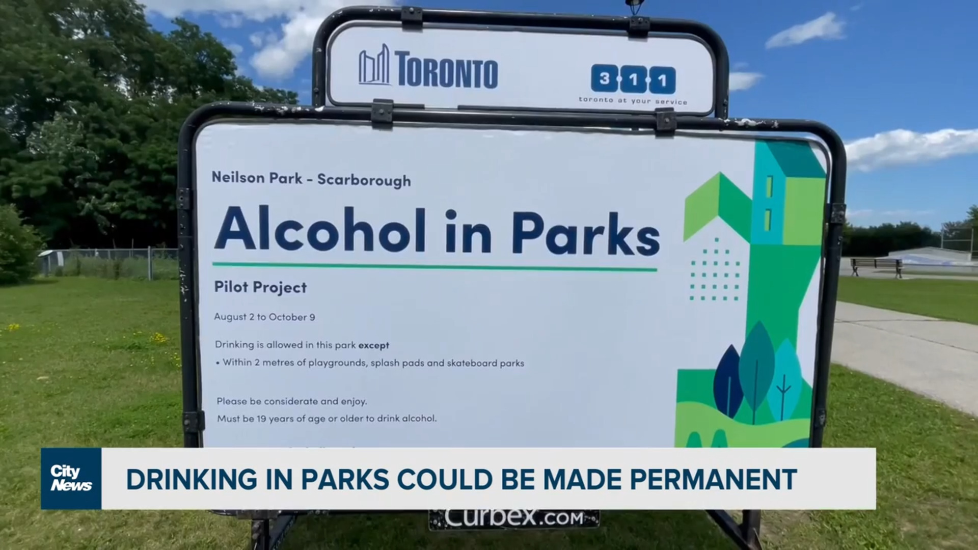 Report recommends drinking in Toronto parks be made permanent