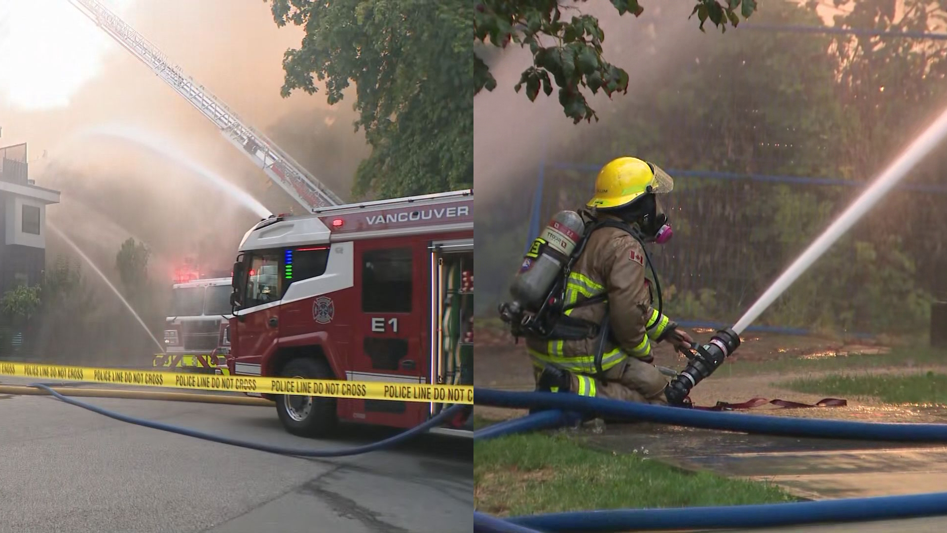 B.C. sees record number of humpbacks | CityNews Vancouver