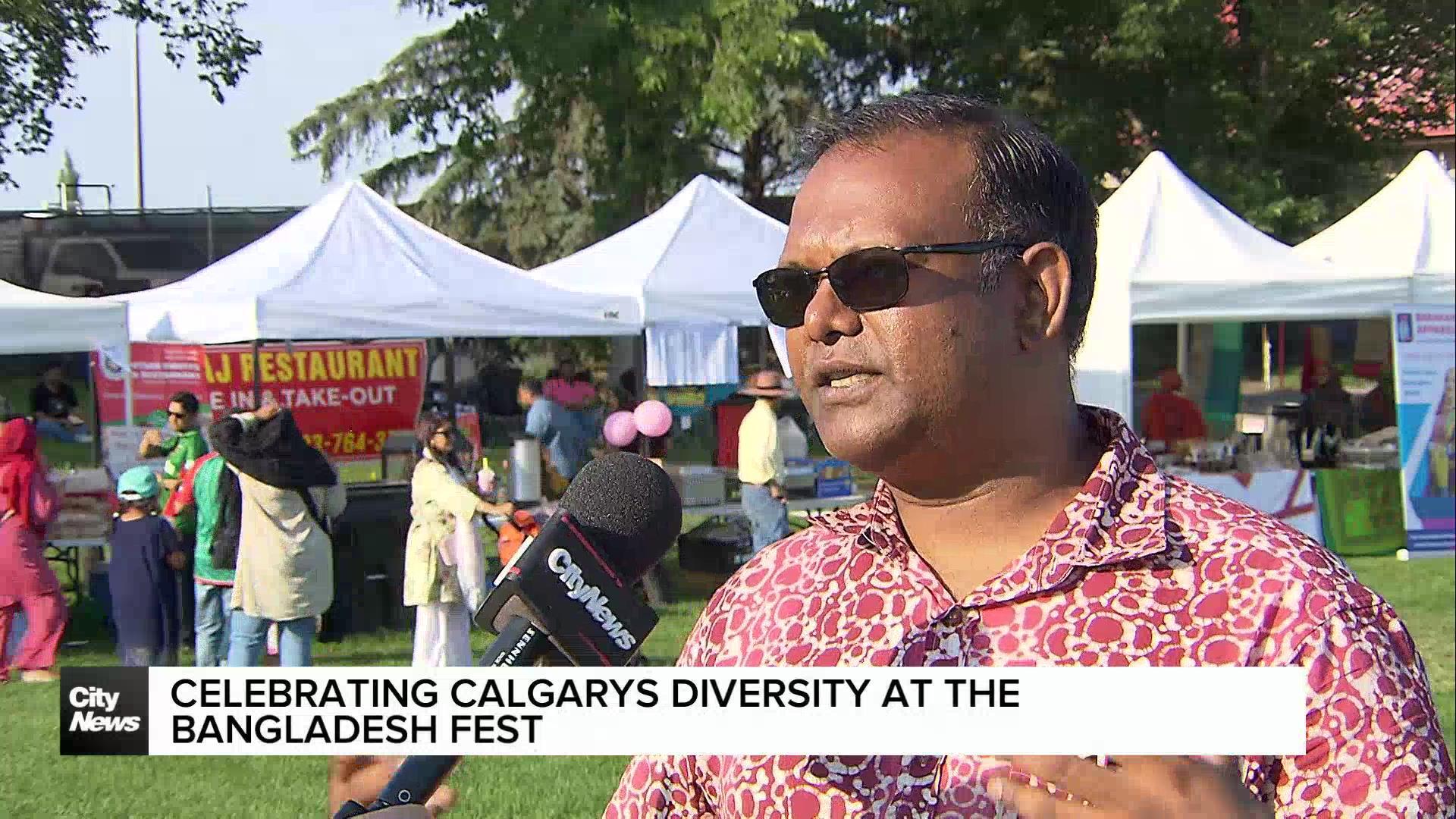 CityNews Connect: Loaded Law