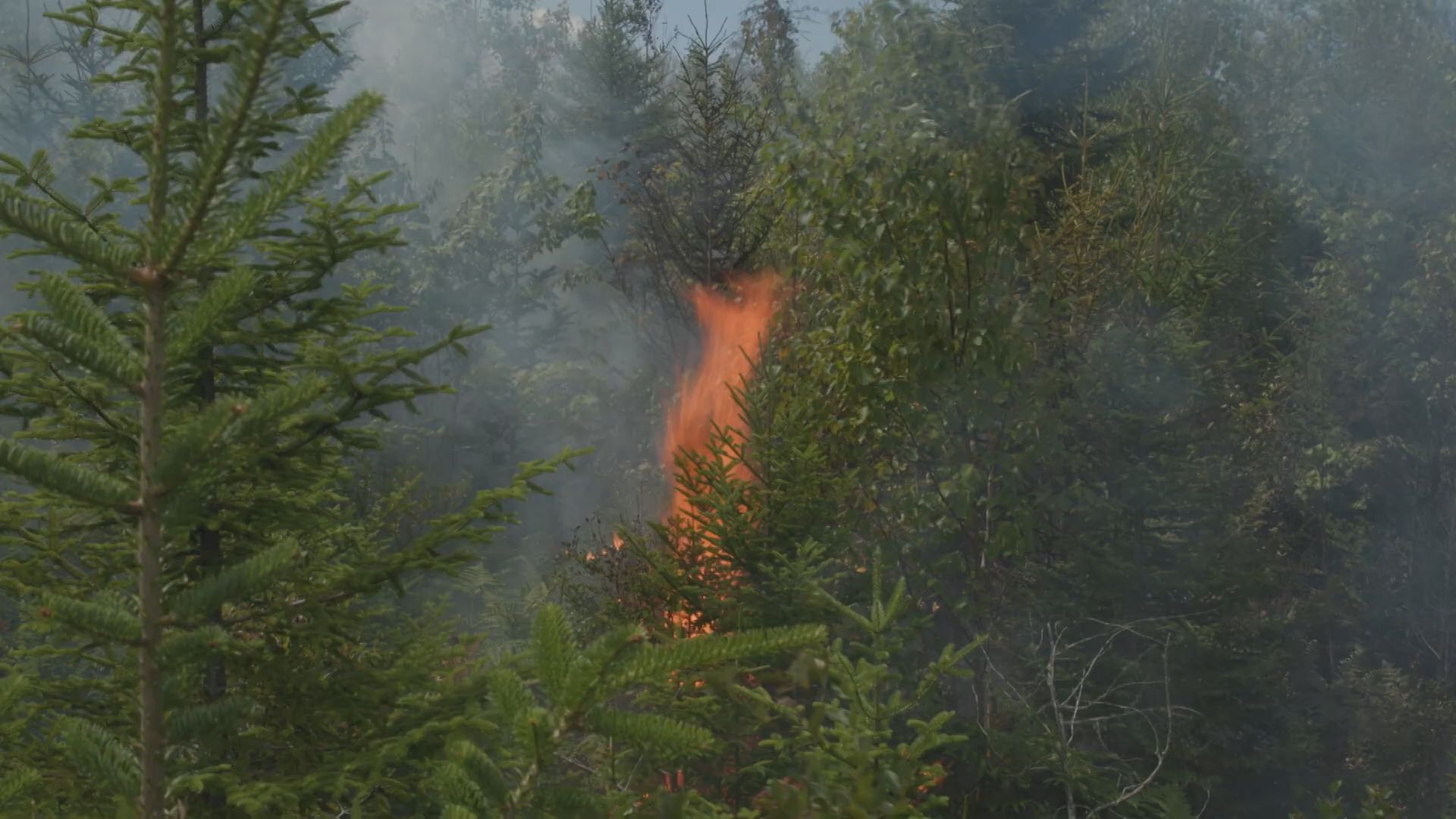 Bulk carrier Federal Yamaska runs aground in St. Lawrence River near ...