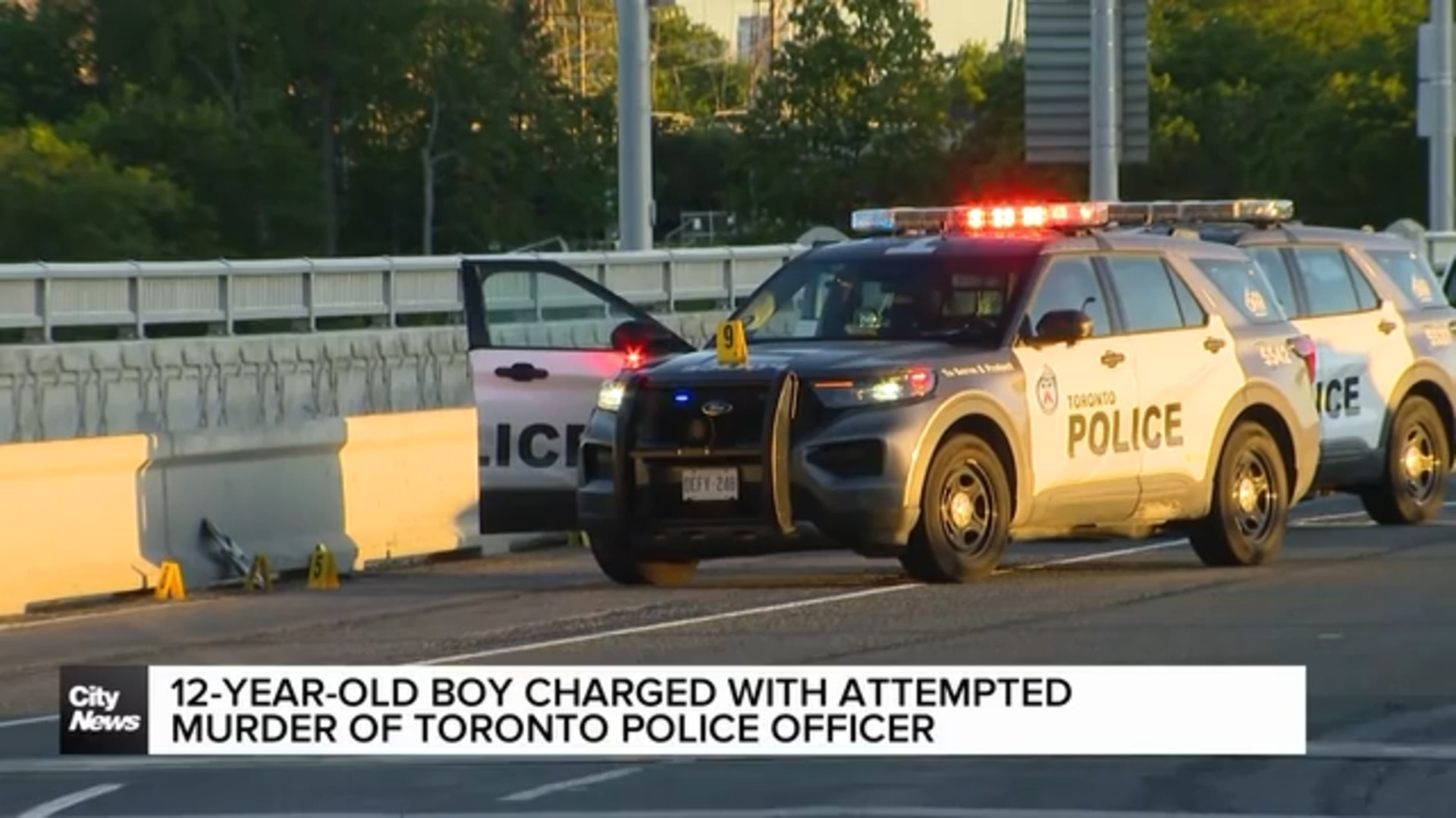 TDSB revokes permit, cancelling educational workshop on anti ...