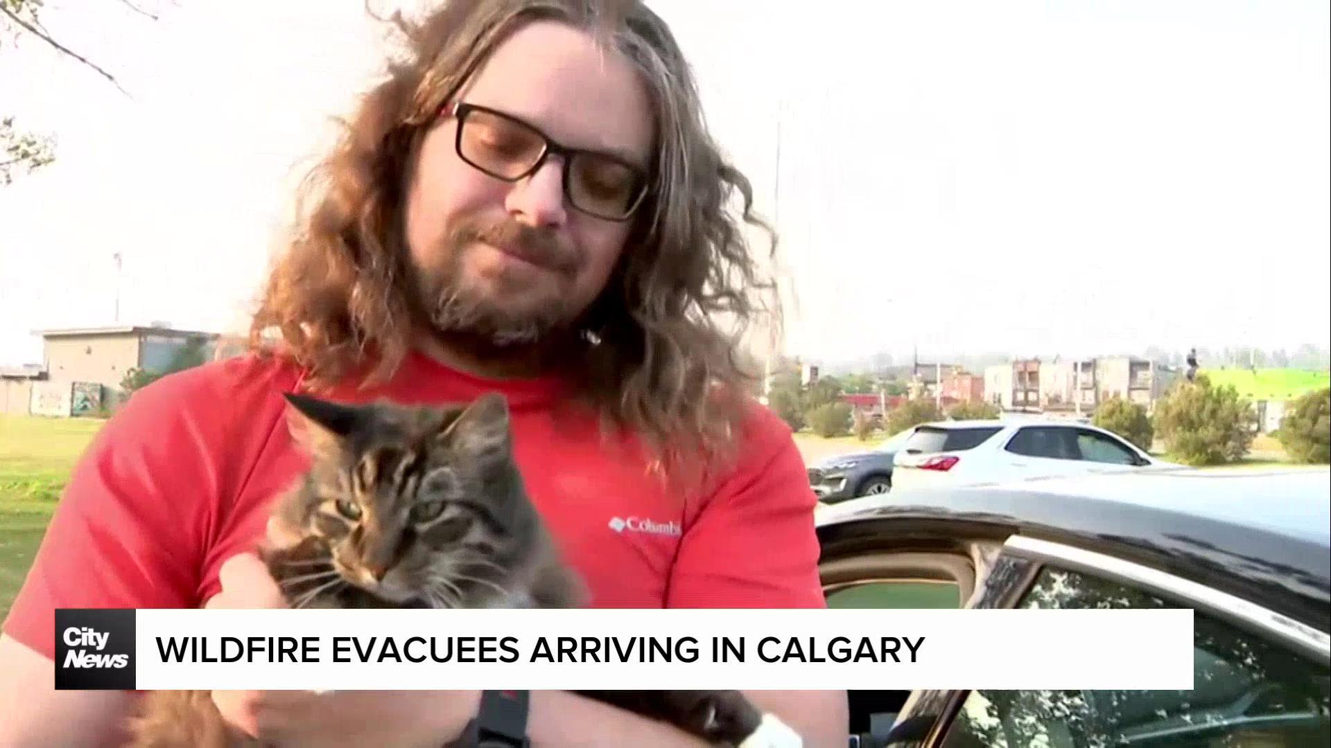 Timeline of how police tracked down a Calgary serial killer