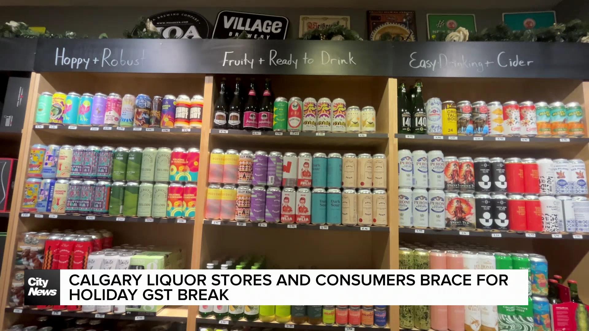 Calgary's Green Line debuts southeast station designs