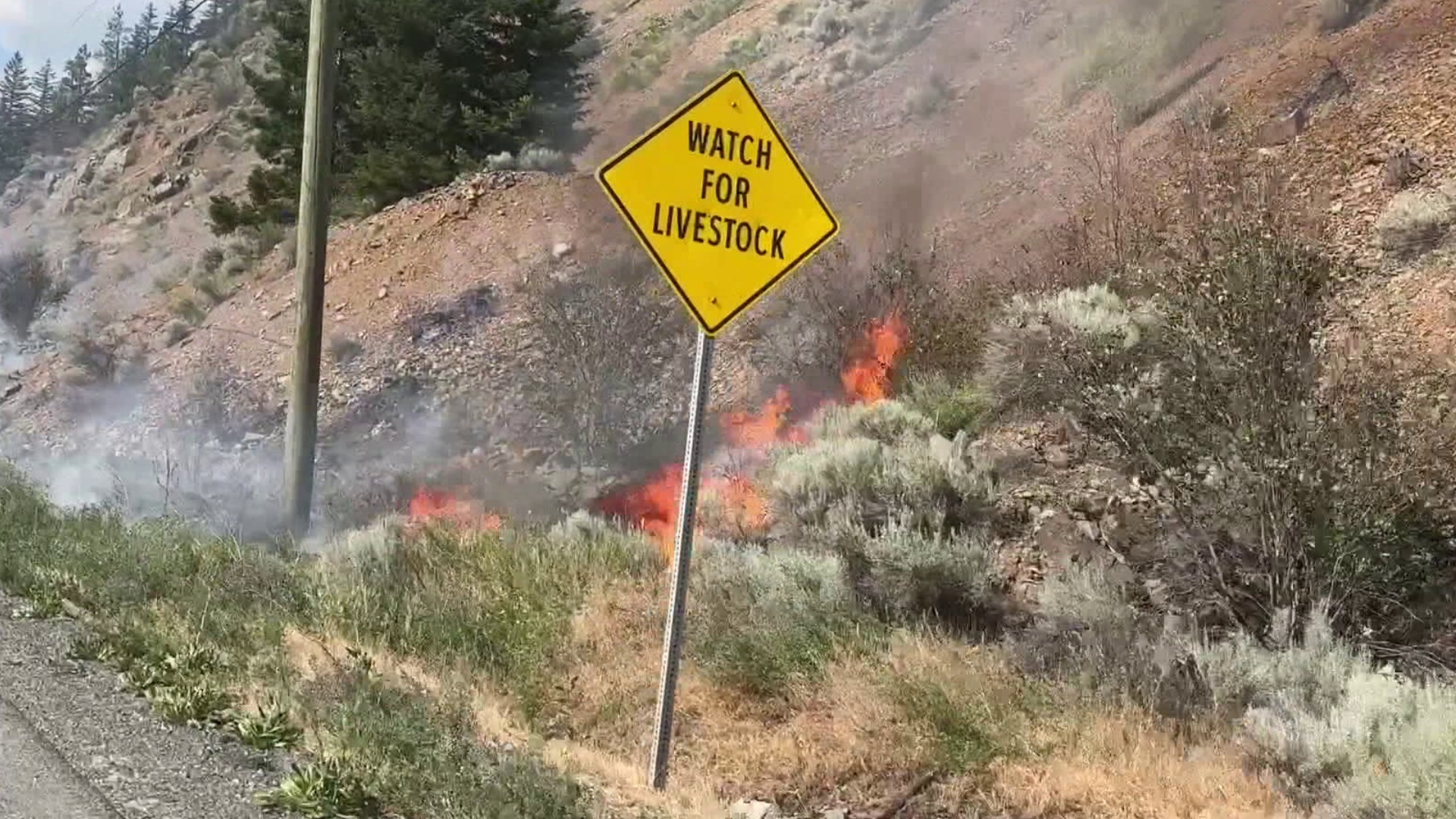 RCMP confirms team accidentally sparked wildfire north of Lytton