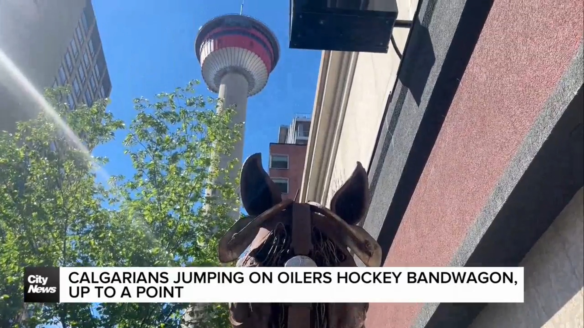 Calgary Fire Department to pilot blue lights on engines