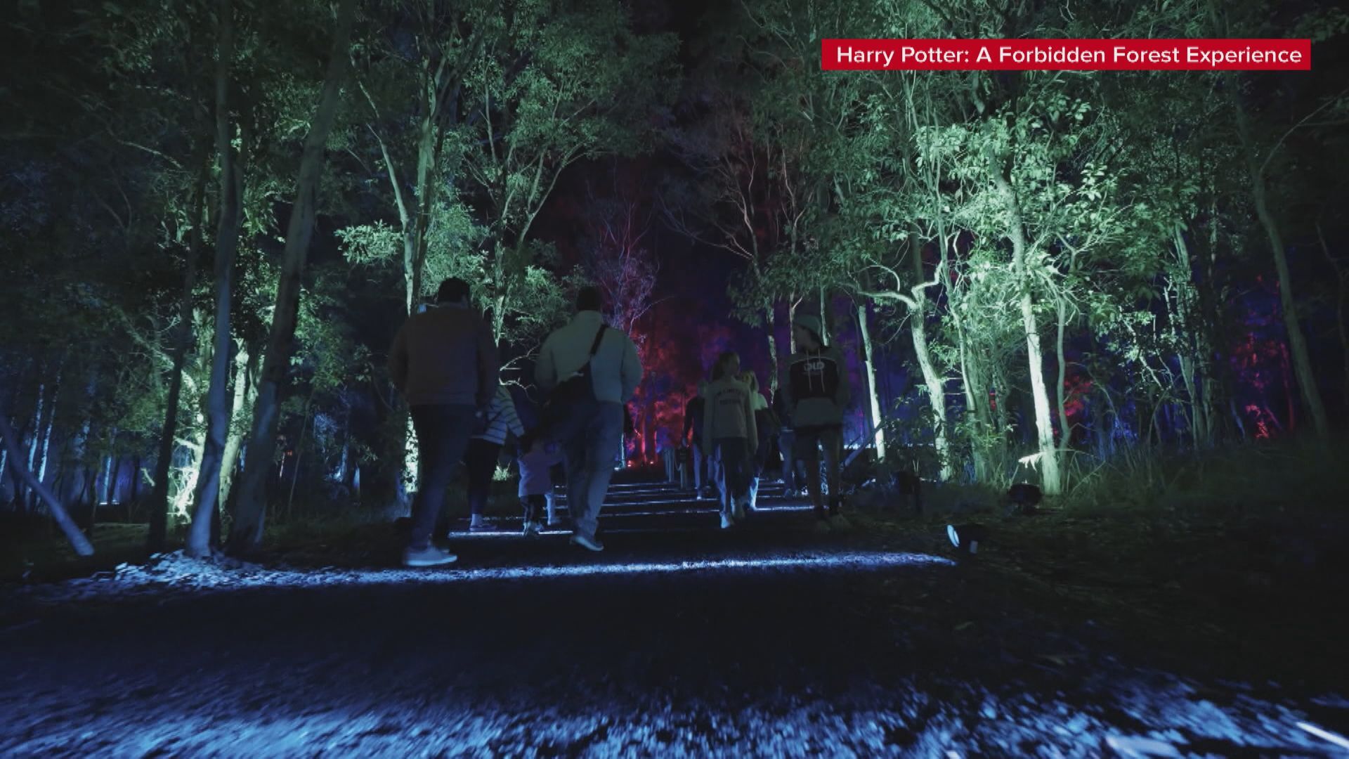 Safety board investigates after second train derailment in B.C. within ...